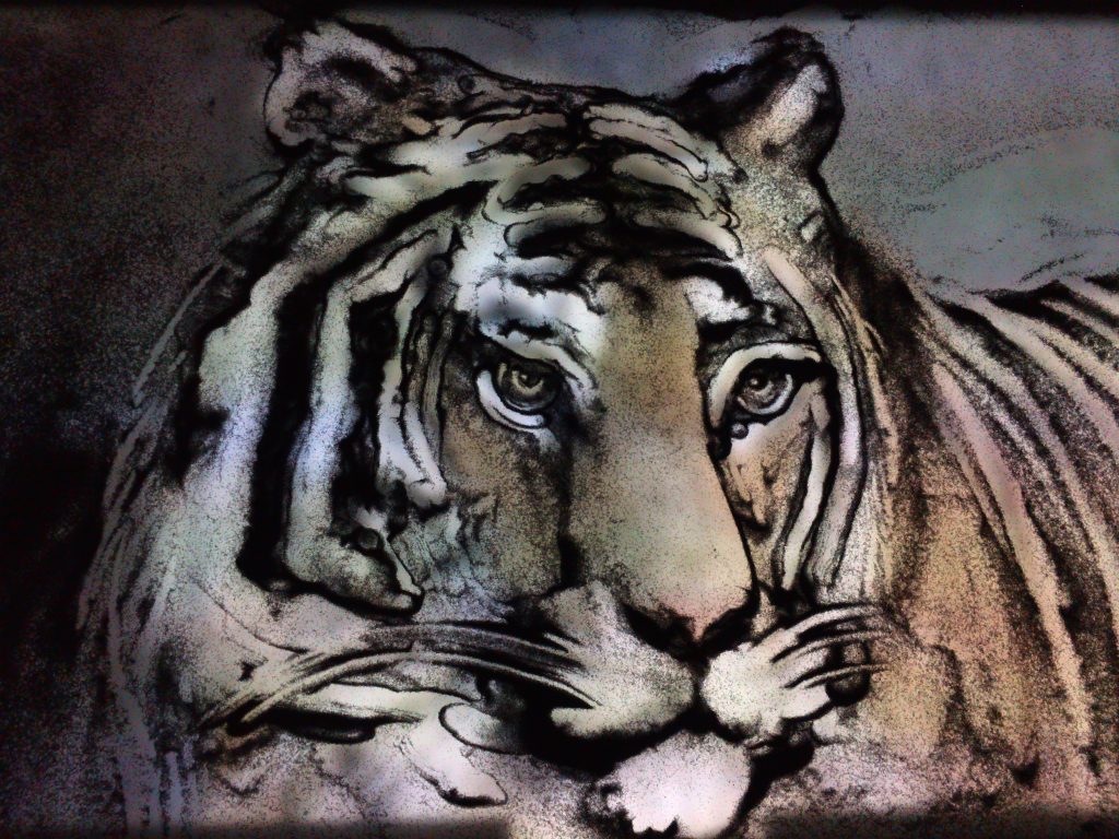 Tiger, Tiger – Sand Story